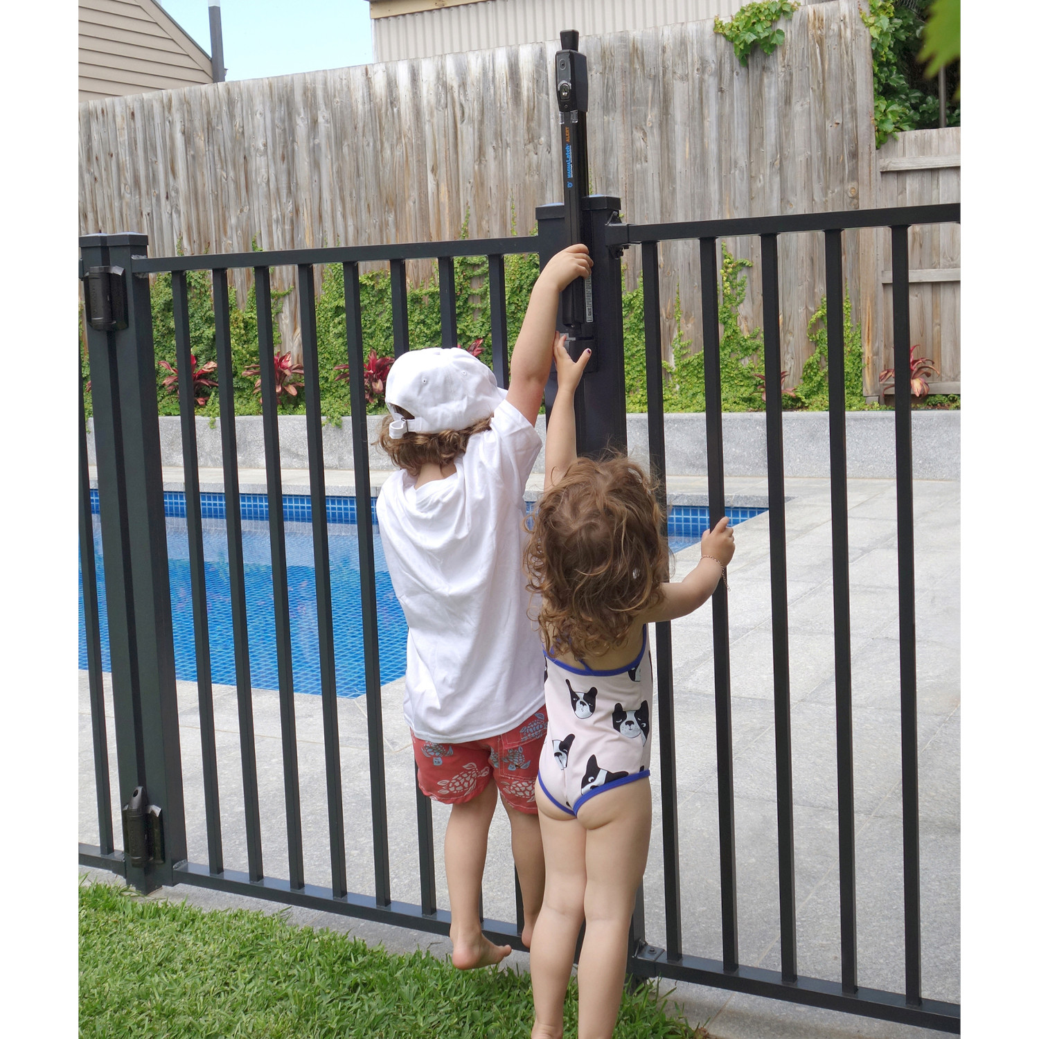 D&D Technologies MagnaLatch ALERT Top Pull Series 3, Magnetic Pool ...